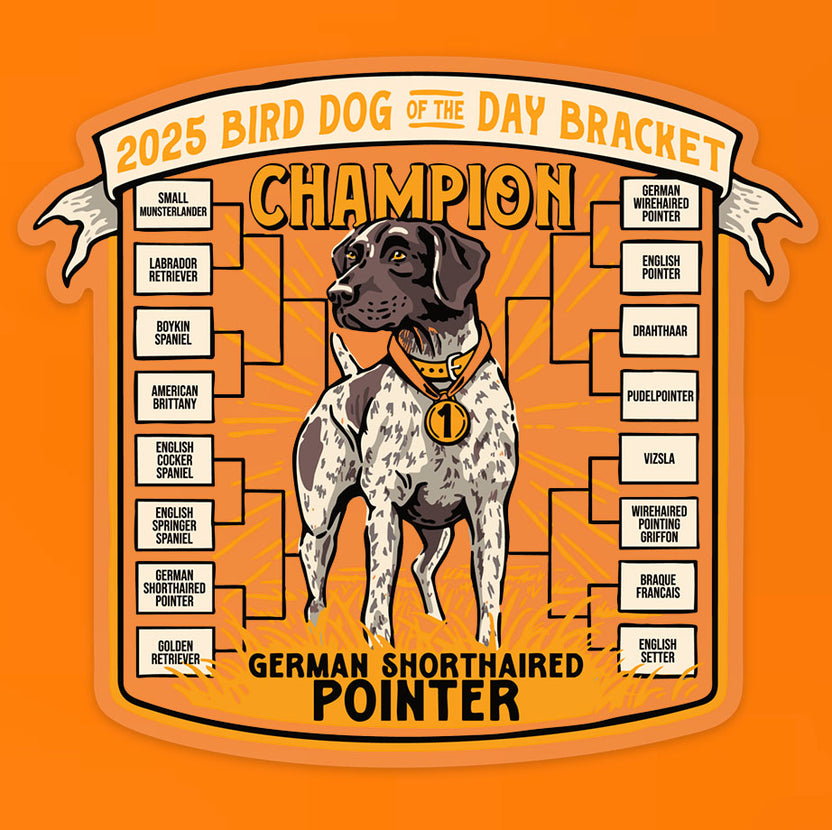 Bird Dog Champion Decal Sticker | Bird Dog of the Day