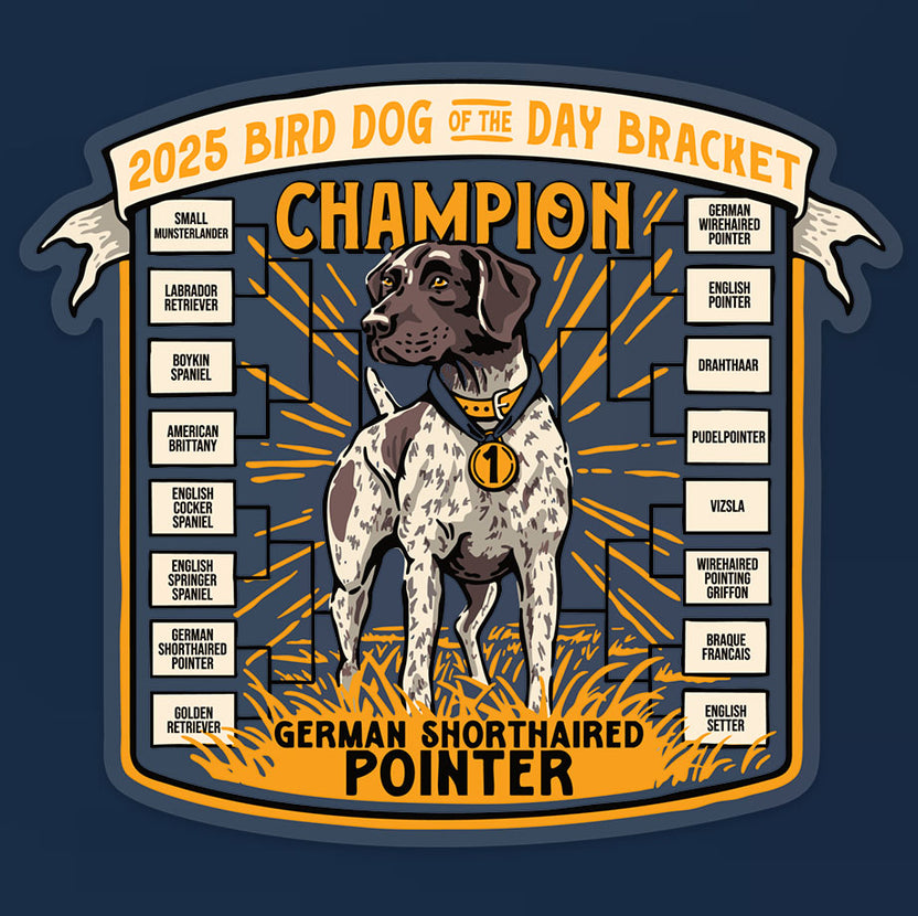 Bird Dog Champion Decal Sticker | Bird Dog of the Day