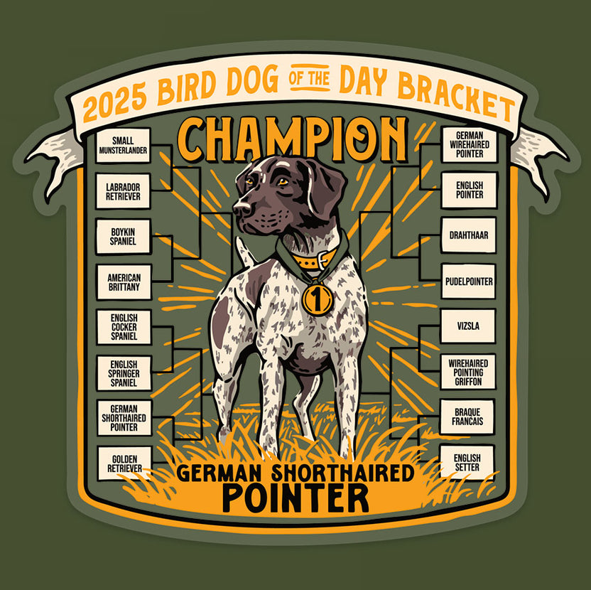 Bird Dog Champion Decal Sticker | Bird Dog of the Day