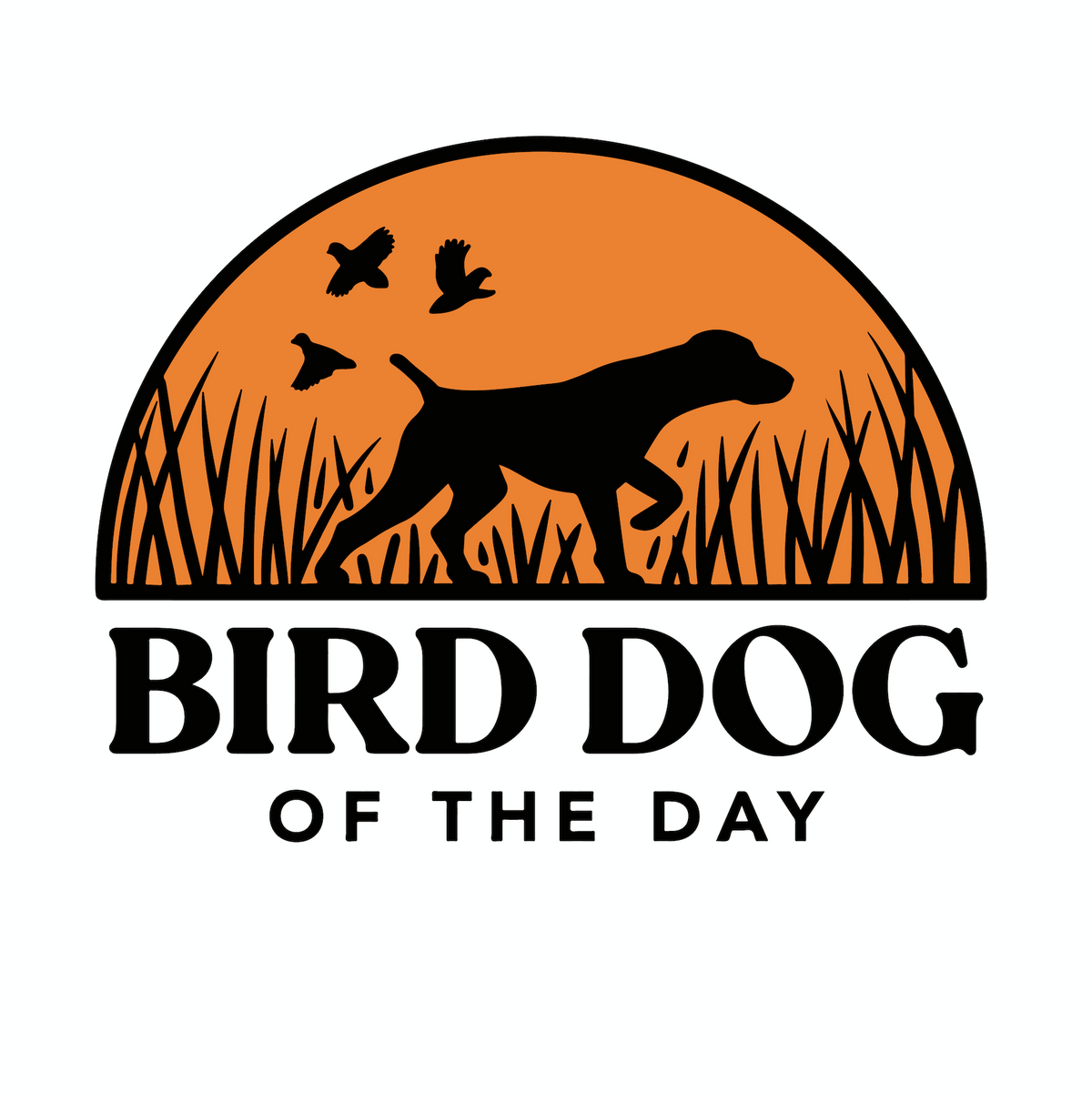 The Classic Bird Dog Series – Bird Dog of the Day