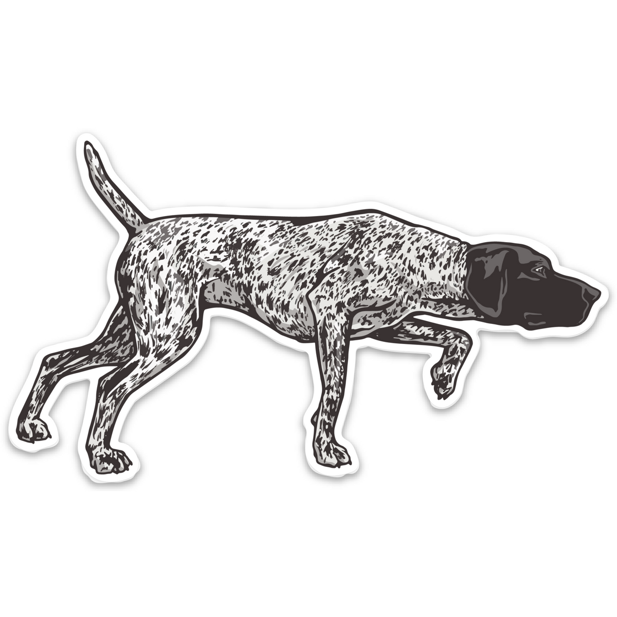 GSP Colors Decal Sticker | Bird Dog of the Day