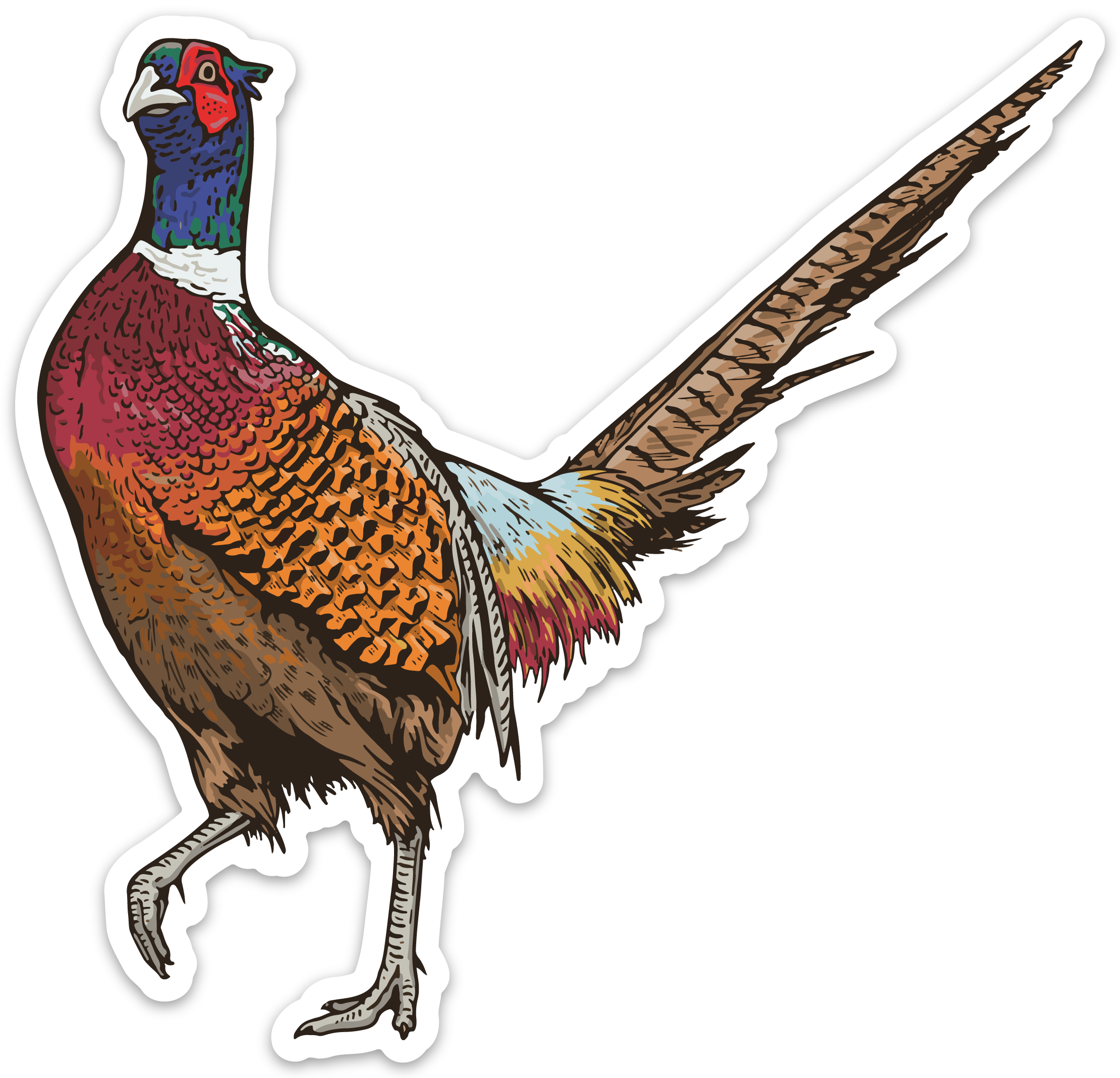 Cocky Pheasant Decal Sticker | Bird Dog of the Day