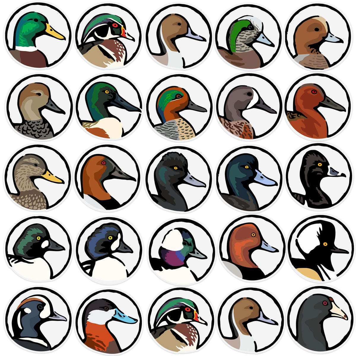 Every Duck Decal Sticker | Bird Dog of the Day
