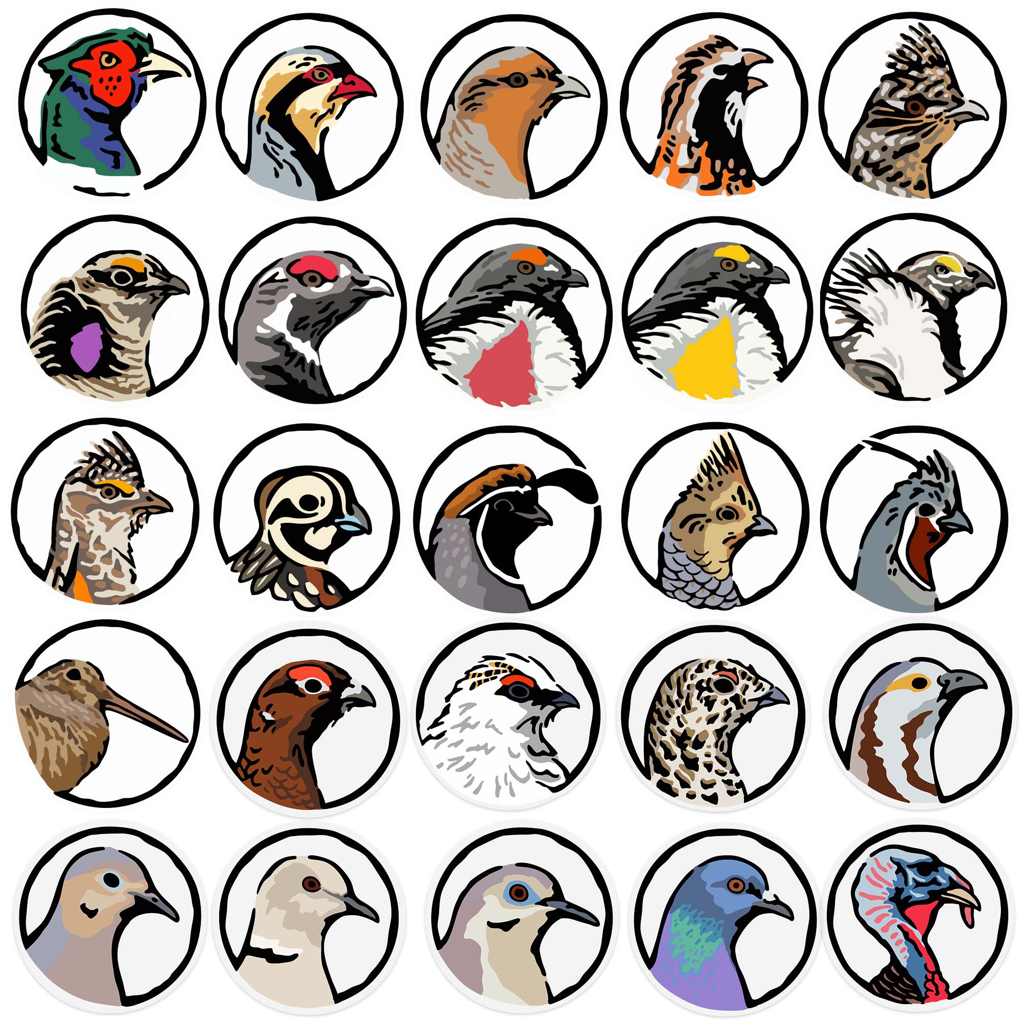 Every Gamebird Decal Sticker | Bird Dog of the Day