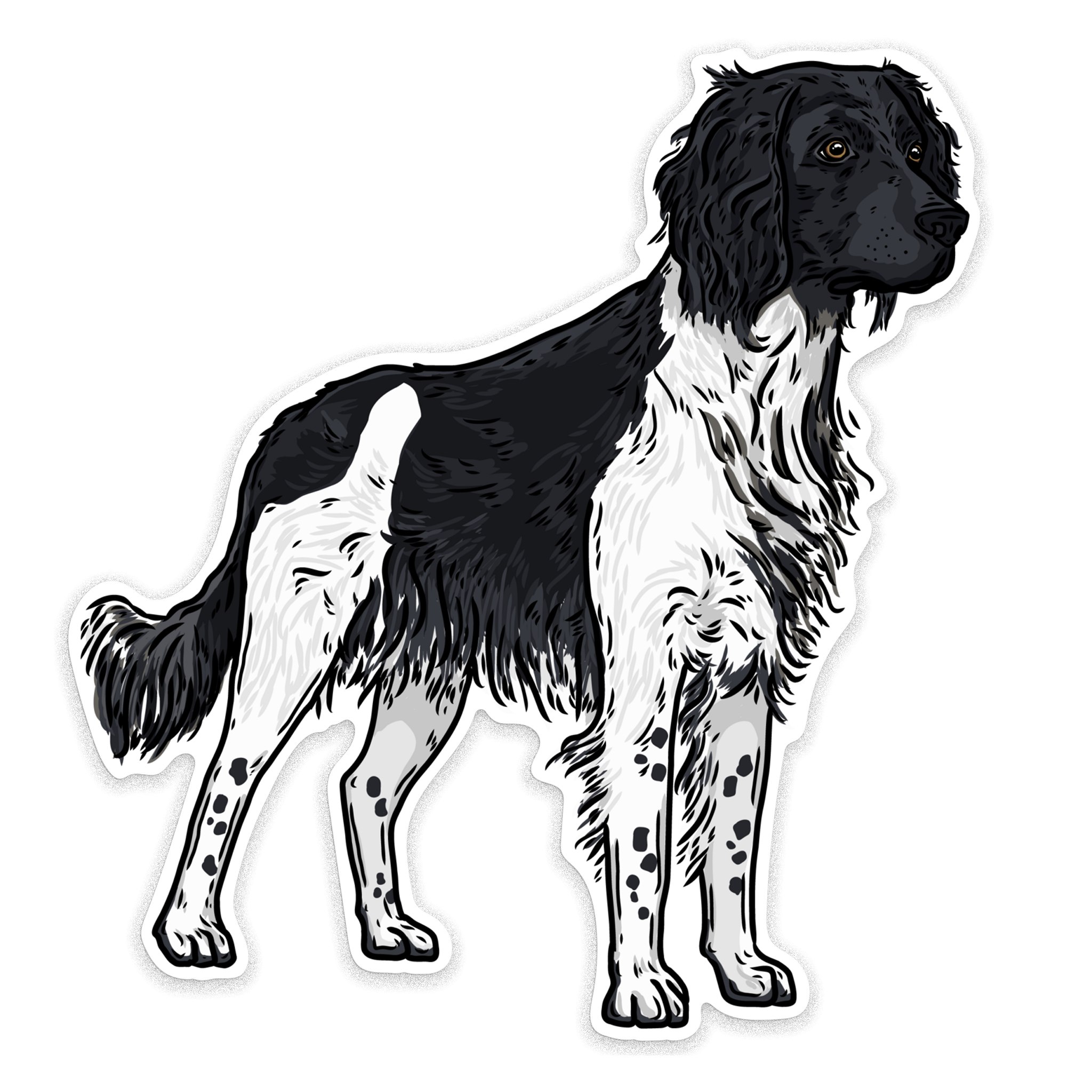 Large Münsterländer Decal Sticker | Bird Dog of the Day