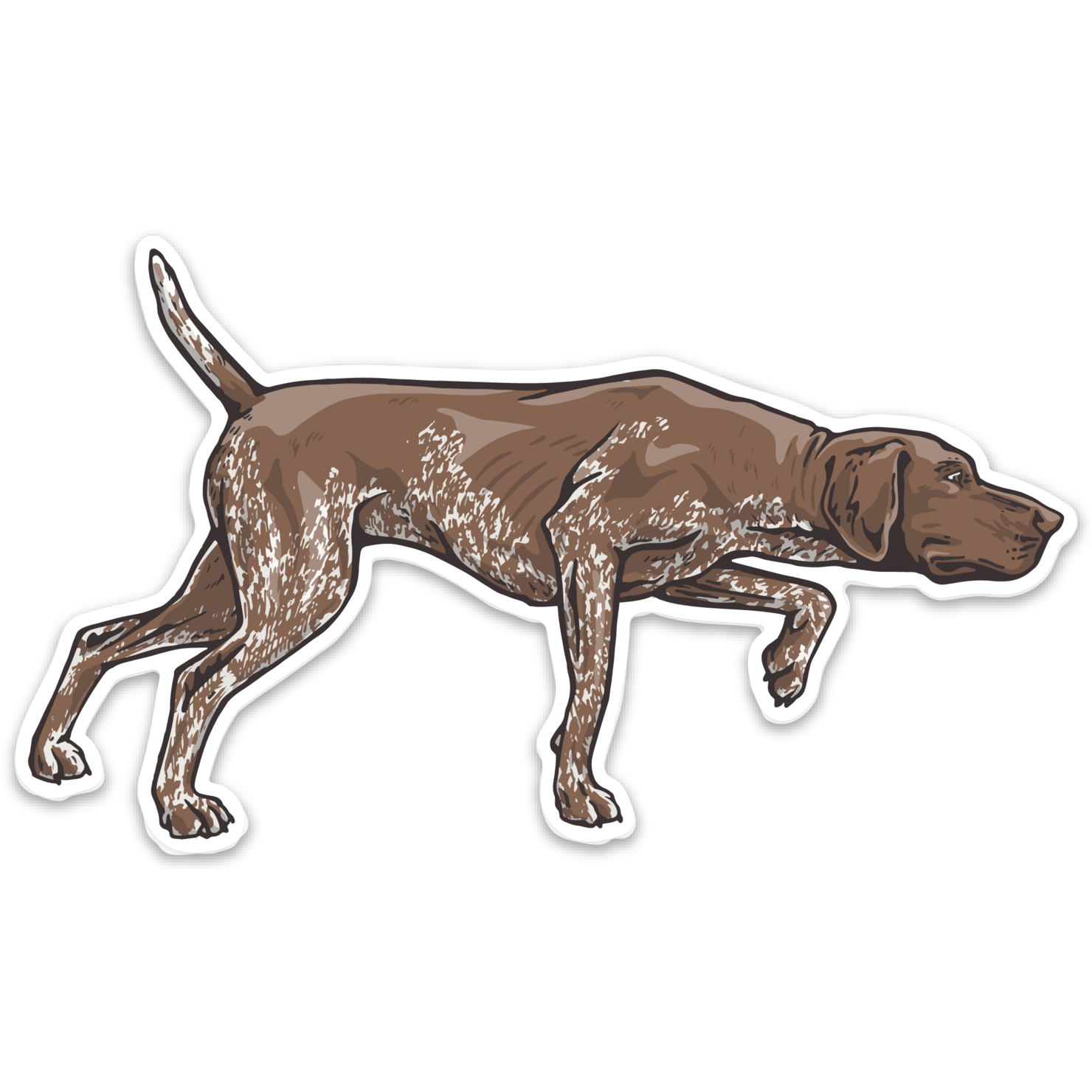 GSP Colors Decal Sticker | Bird Dog of the Day
