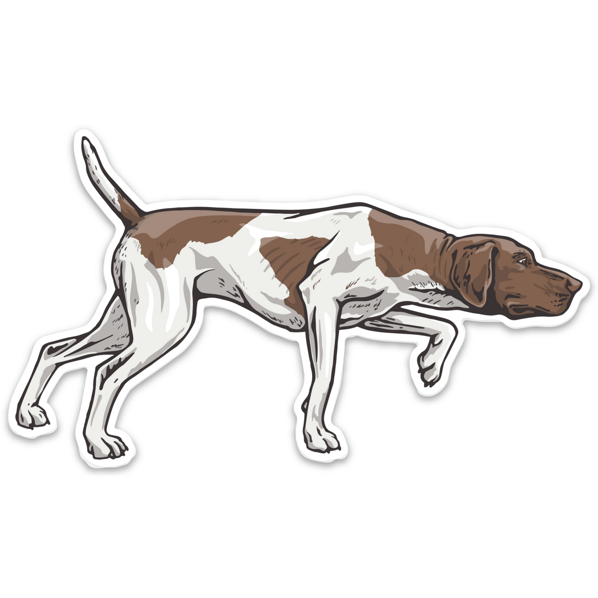 GSP Colors Decal Sticker | Bird Dog of the Day