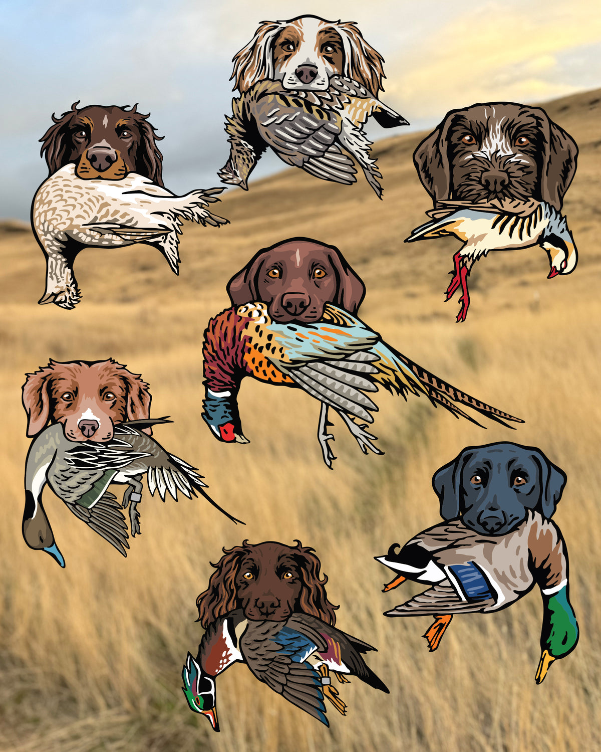 The Classic Bird Dog Series – Page 2 – Bird Dog of the Day