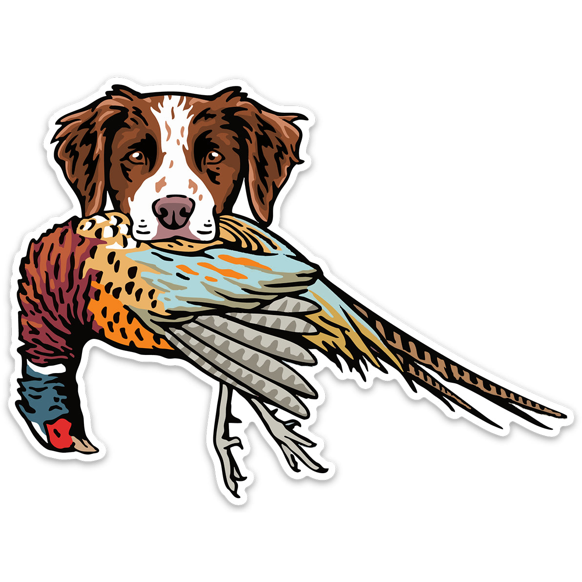 The Brittany Bird Dog Decal Sticker | Bird Dog of the Day