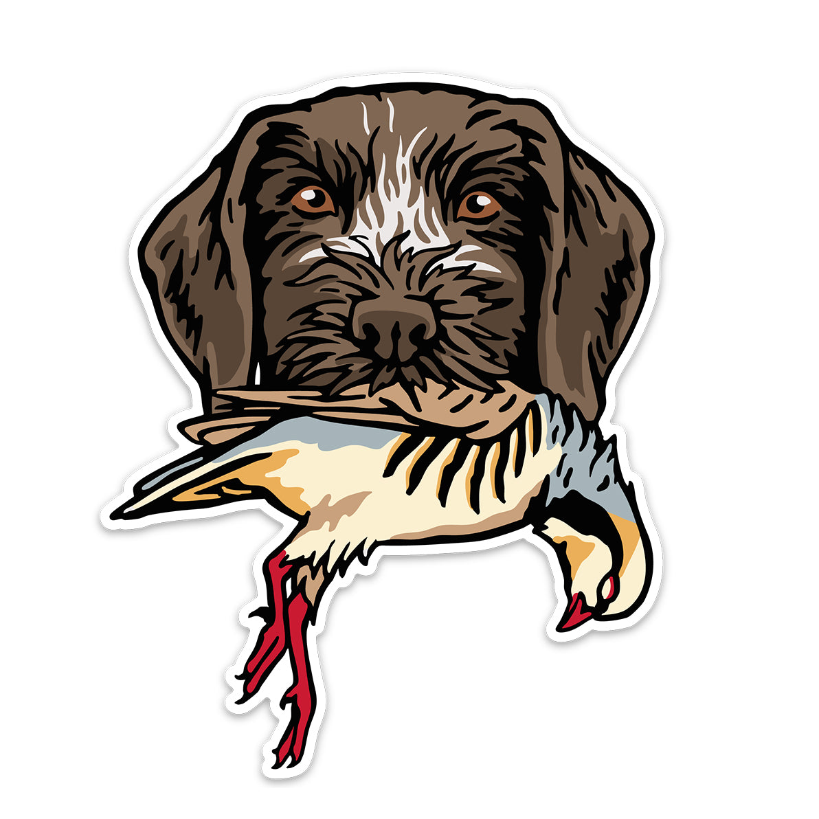 The German Wirehaired Pointer Bird Dog Decal Sticker | Bird Dog of the Day