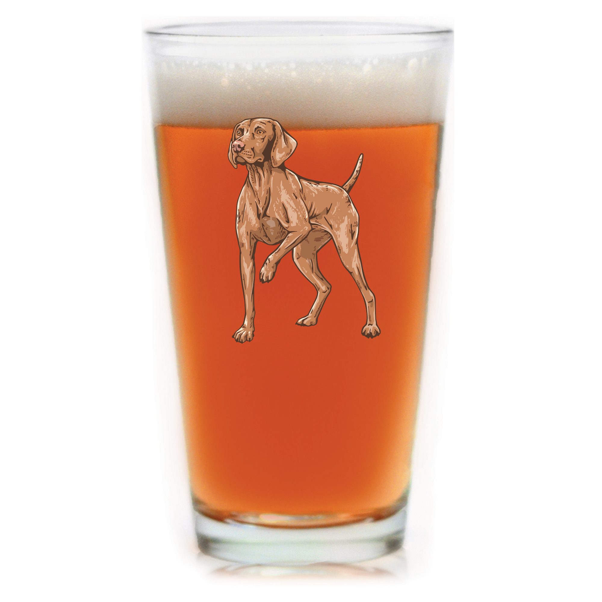 Vizsla Dog Pint Glass | Bird Dog of the Day