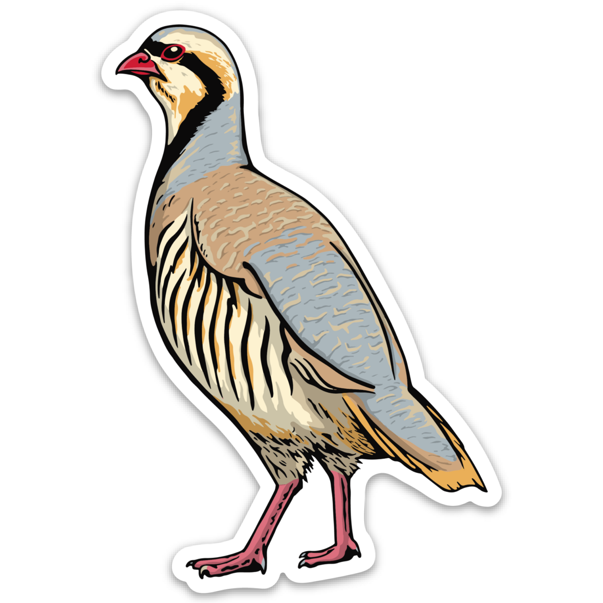 Wild Chukar Decal Sticker | Bird Dog of the Day
