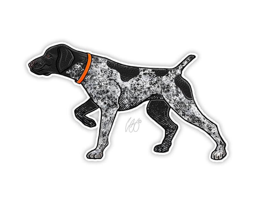 German Shorthaired Pointer Decal, GSP Sticker | Bird Dog of the Day