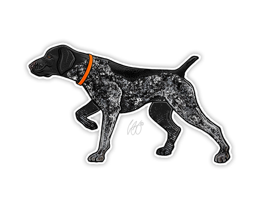 German Shorthaired Pointer Decal, GSP Sticker | Bird Dog of the Day