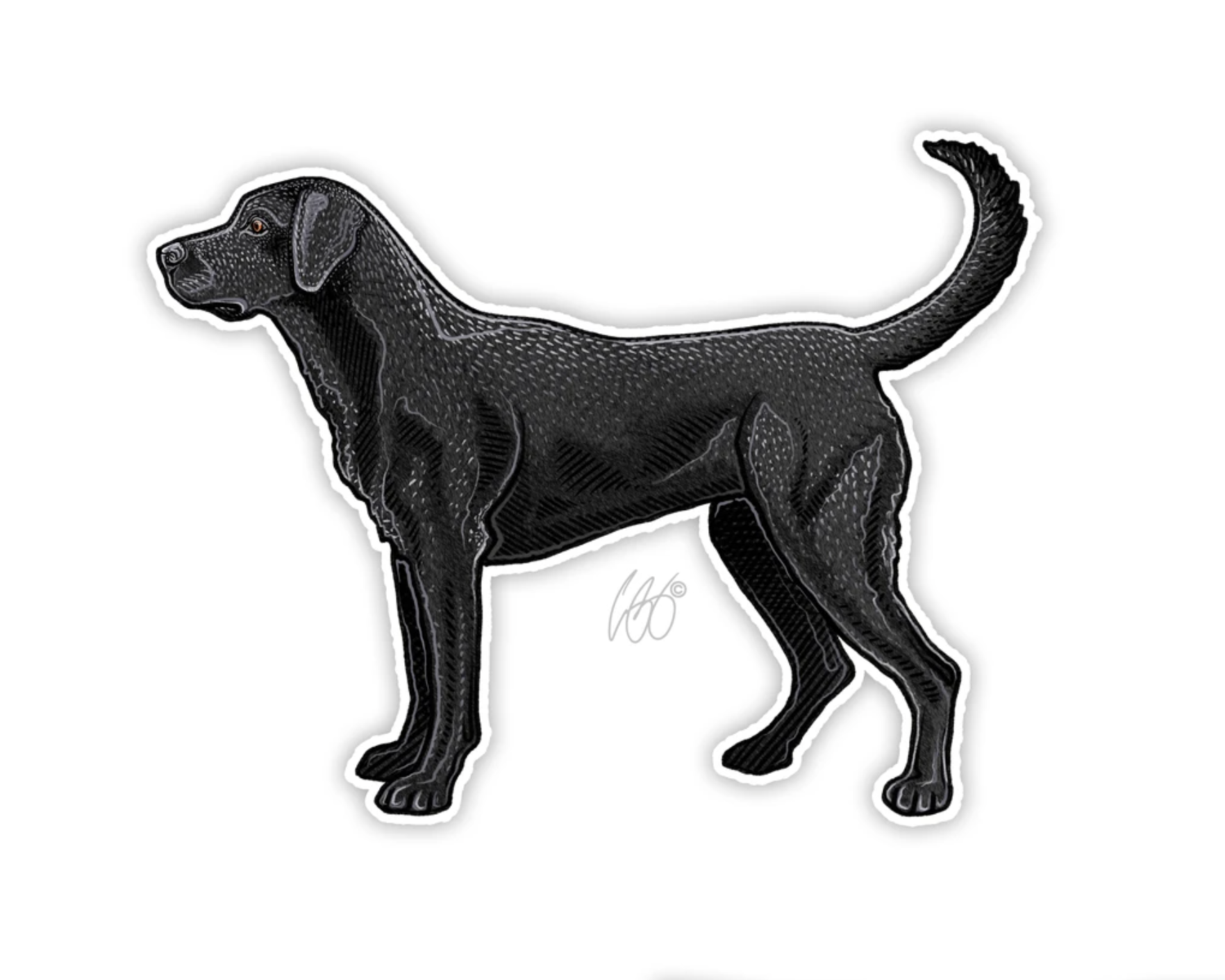 Black Lab Decal Sticker | Bird Dog of the Day