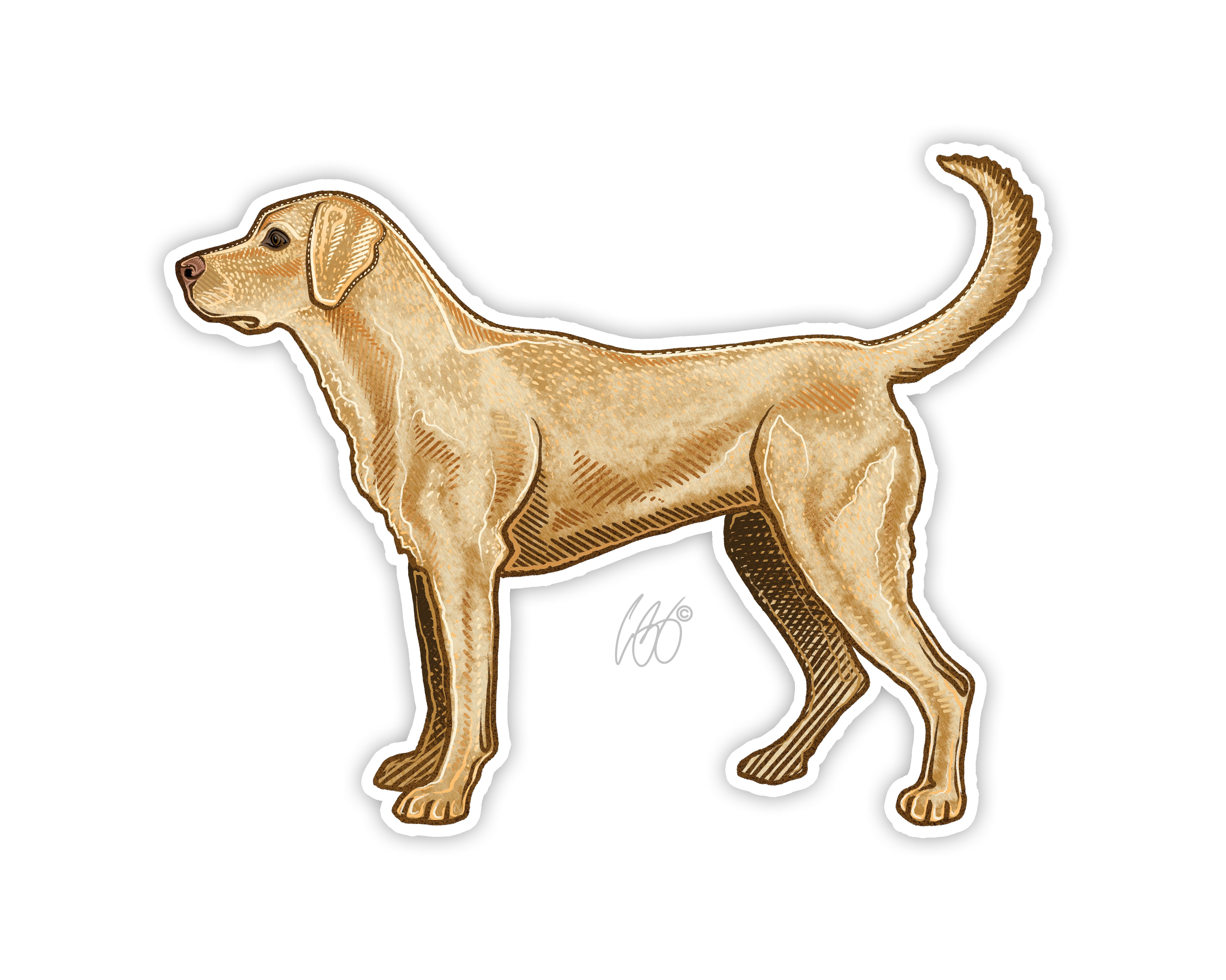 Yellow Lab Decal Sticker | Bird Dog of the Day