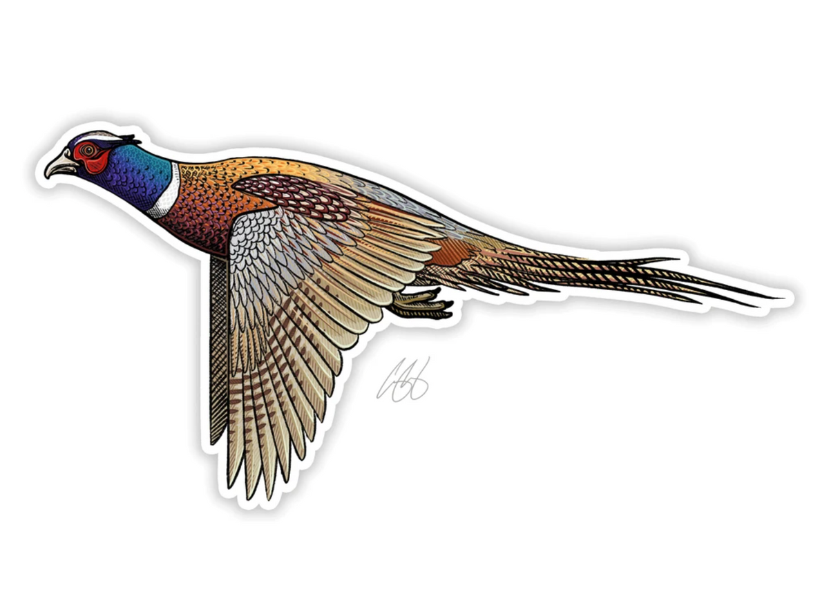 Pheasant Decal Sticker | Bird Dog of the Day