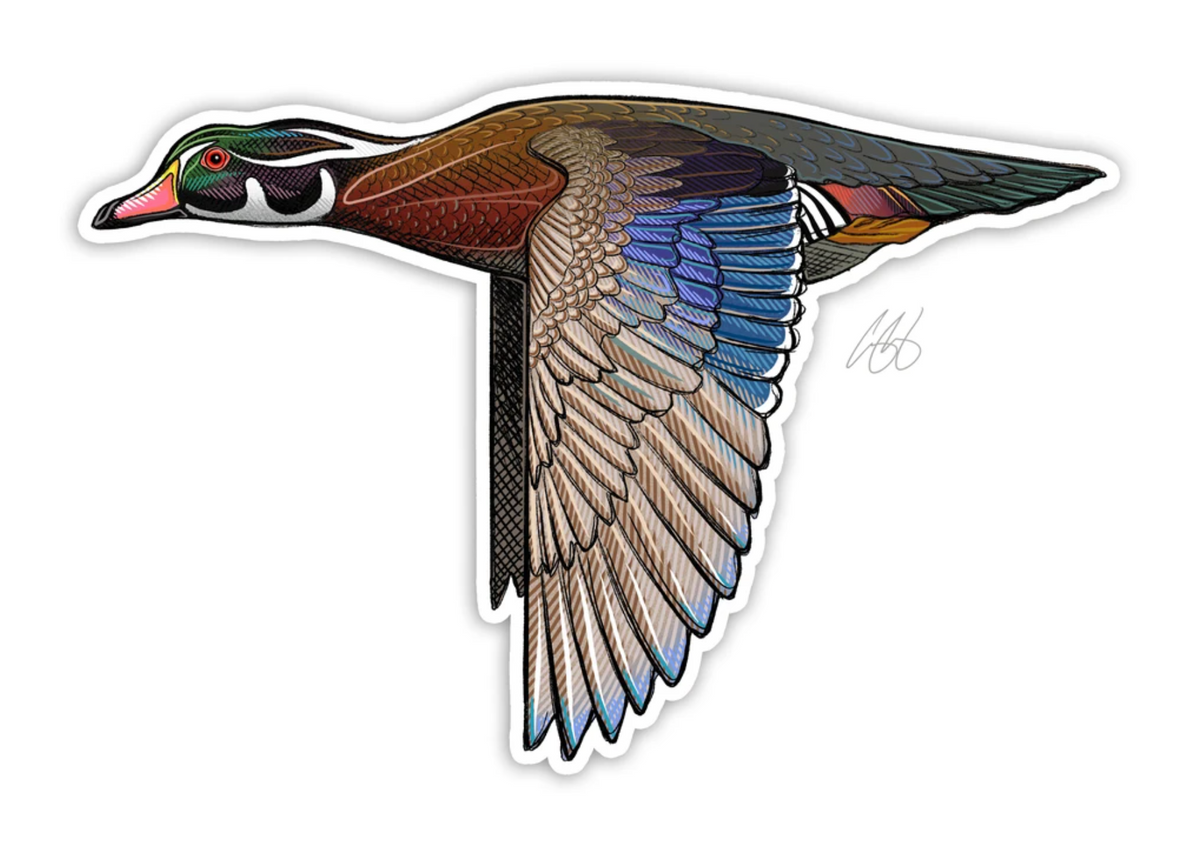 Wood Duck Decal Sticker | Bird Dog of the Day